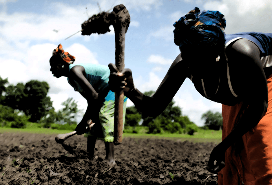 Paluu Afrikkaan | SARASTUS